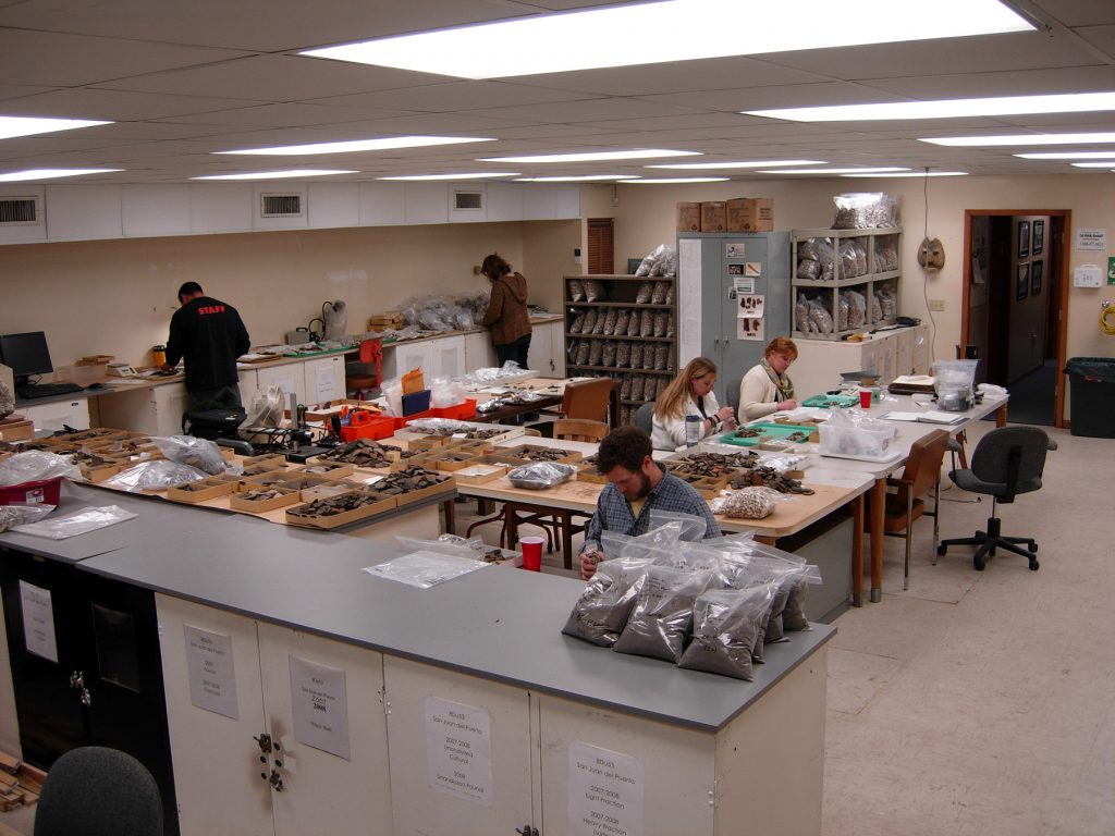 Archaeology - Anthropology